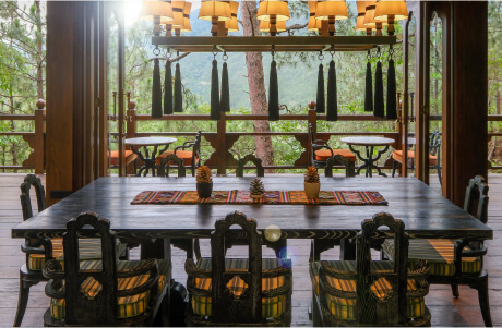 Pemako || An earthly paradise to be discovered